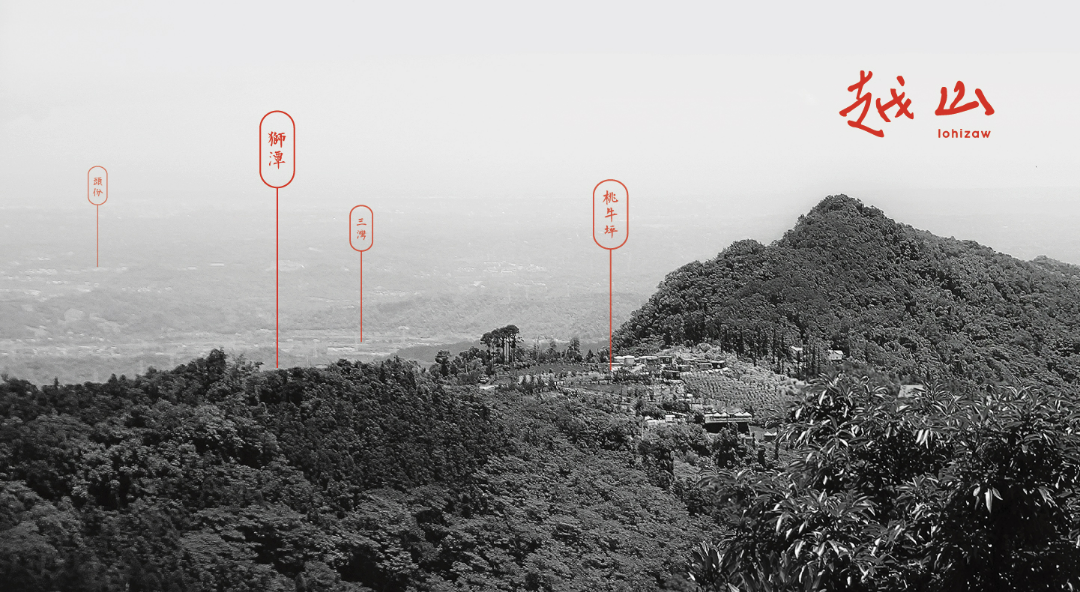 Index｜NCAF GRANTED PROJECT DATABASE